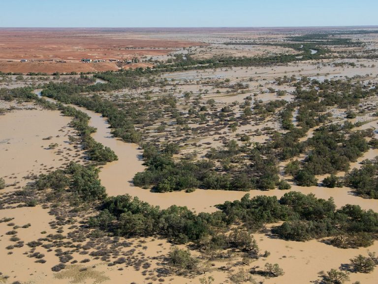Where’s Waddi? - The Outback Loop